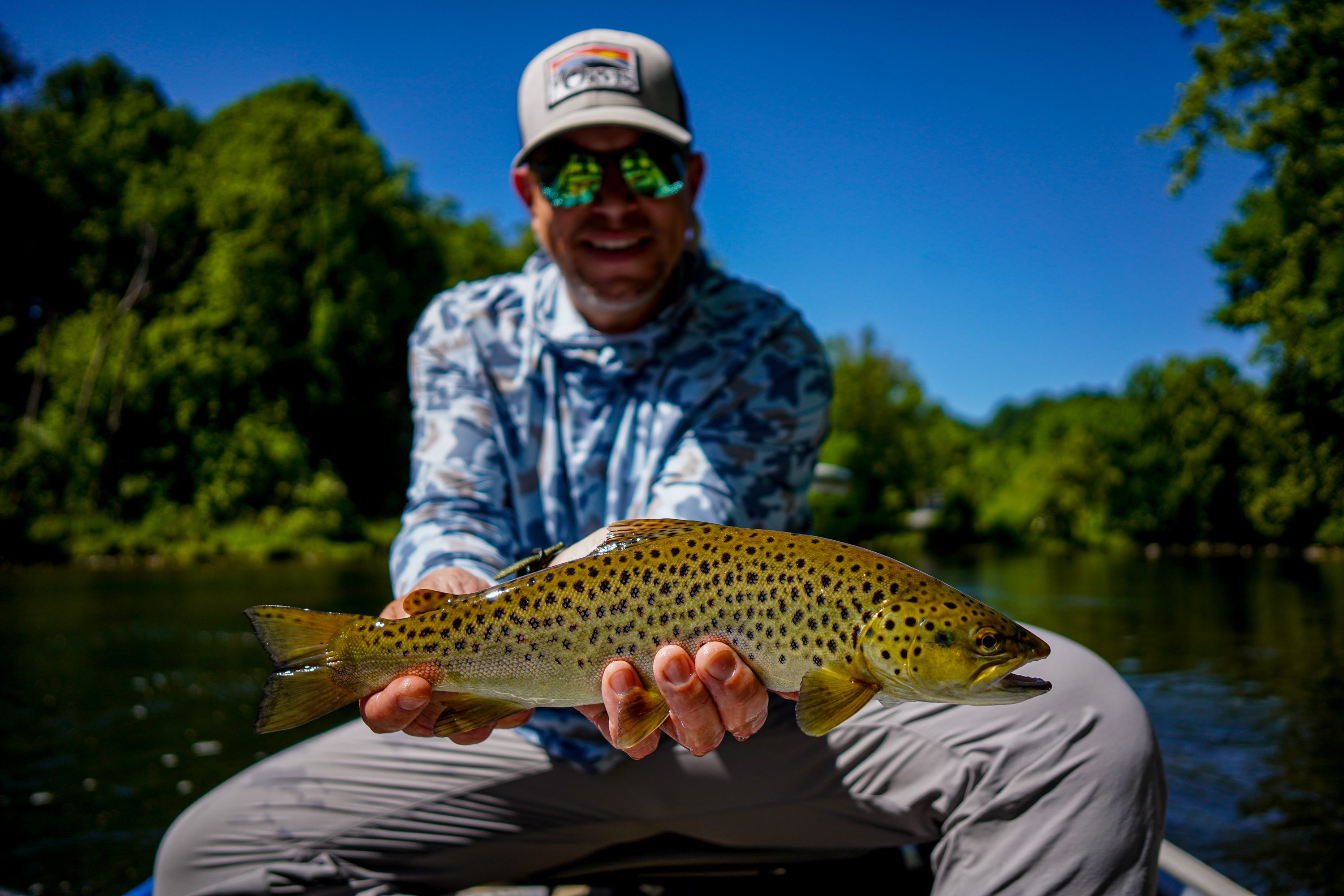 Bristol TN Fly Fishing Guide South Holston And Watauga River