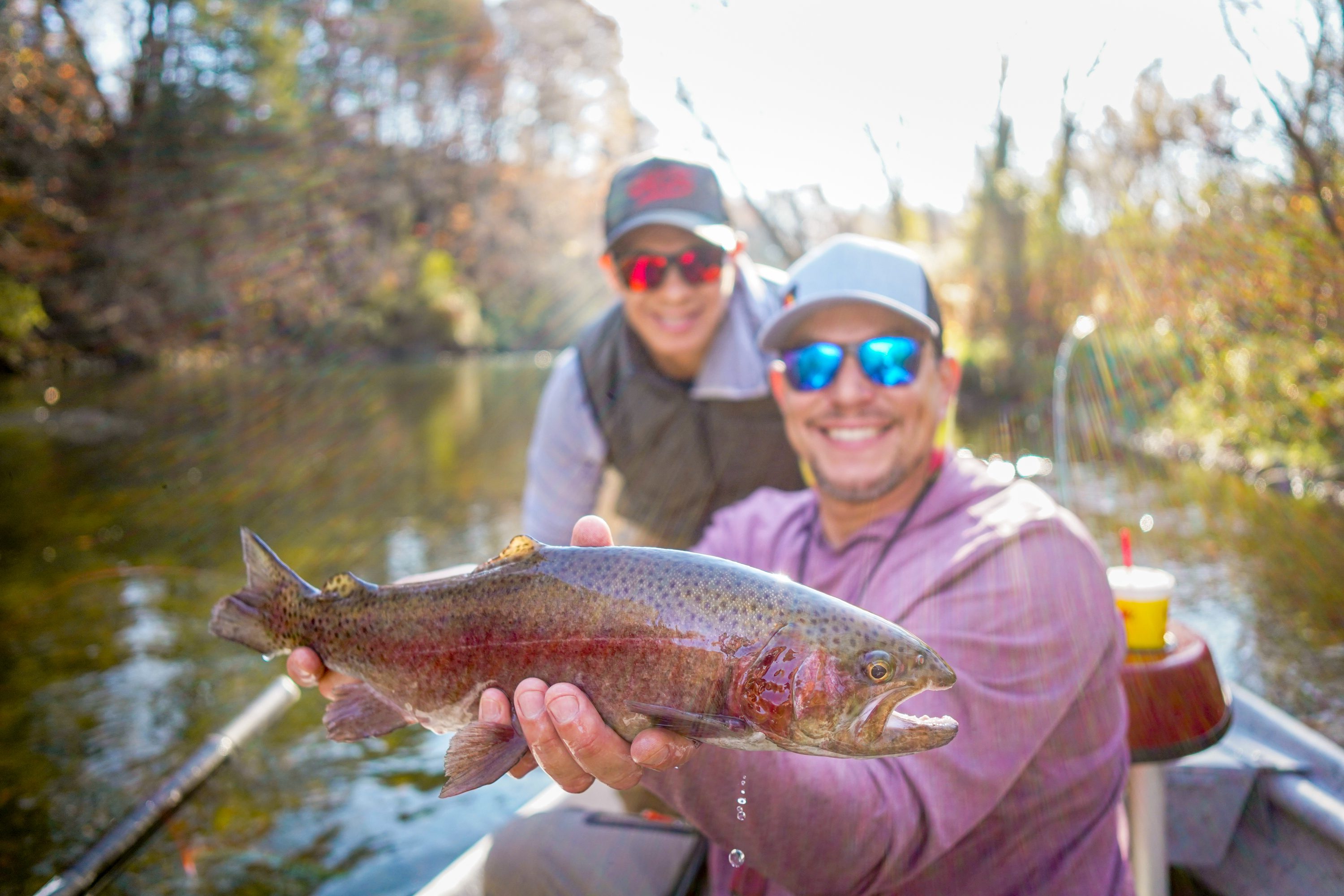 Bristol TN Fly Fishing Guide South Holston And Watauga River
